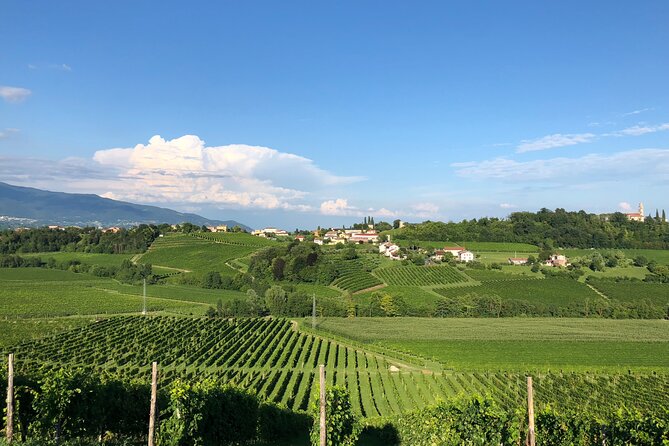 Food and Wine Tour on the Prosecco Hills from Venice - Experiencing the Flavors and Views