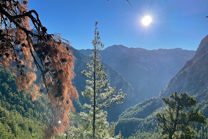 For the Wild Ones: White Mountains & Samaria Gorge Sightseeing - What’s Included and What You Can Expect