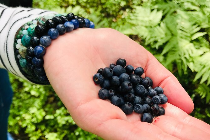 Forestbathing Slow Walking and Healing Spring Water, Stockholm - What the Reviews Say