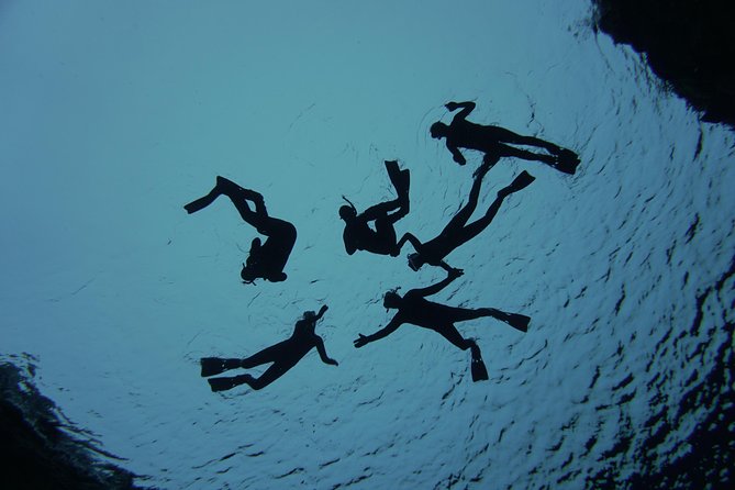 Freedive Silfra Half Day Tour - What’s Included and What’s Not