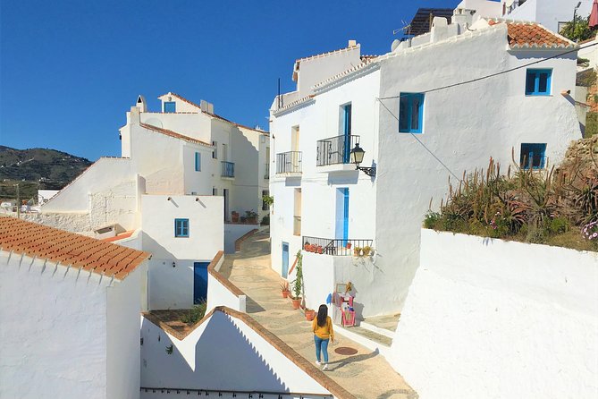 Frigiliana Small-Group Hike and Wine Tasting Tour from Malaga - What the Reviews Say About This Tour