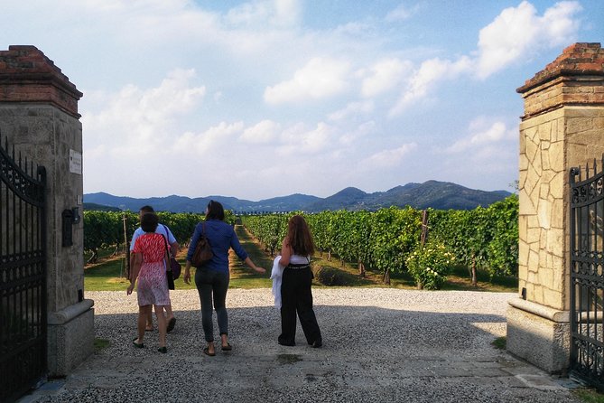 From Abano Montegrotto, Wine Tour in the Euganean Hills - Logistics and Practicalities