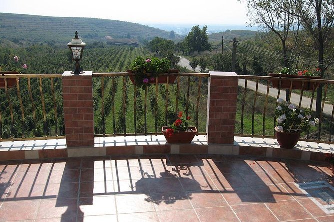 From Bucharest: Exclusive Wine Tasting Tour in Dealu Mare - FAQs