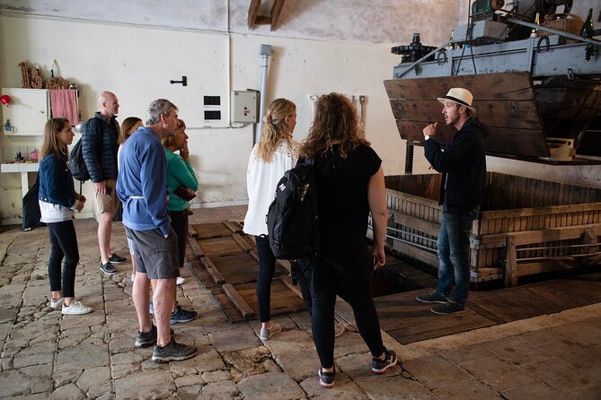 From Epernay Full day Electric bike Champagne and lunch - Practical Tips for Future Travelers