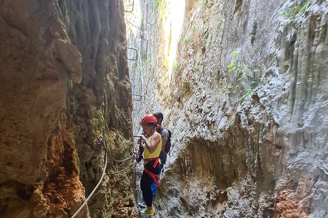 From Estepona: Guided Via Ferrata Adventure in Benalauría - Who Will Love This Tour?