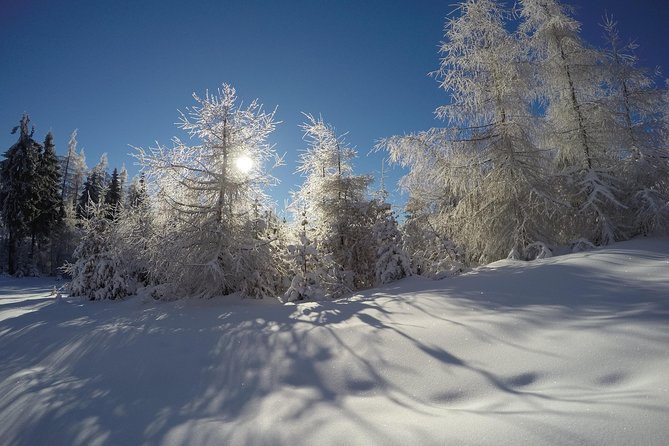 From Krakow: Siepraw Skiing for Beginners - FAQ