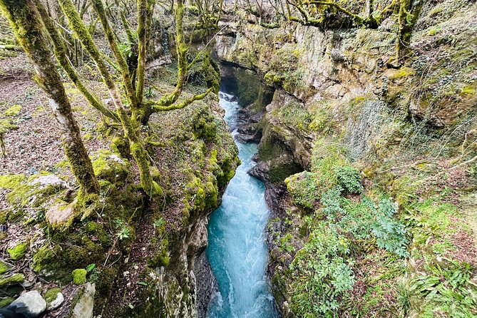 From Kutaisi: Canyons and Caves Tour with Transfer to Tbilisi - Final Thoughts