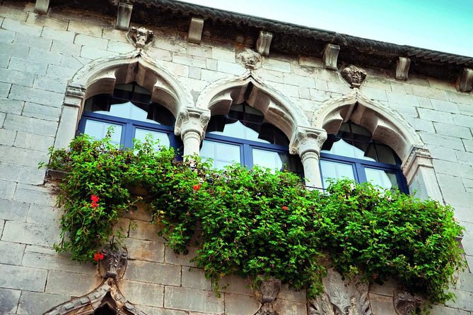 From Pula or Medulin: Rovinj, Gronjan & Motovun day tour - Reviews Speak Volumes