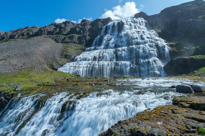 From Reykjavík: 3-Day Tour of the Wild and Wonderful Westfjords - Authentic Experiences & Highlights from Past Travelers
