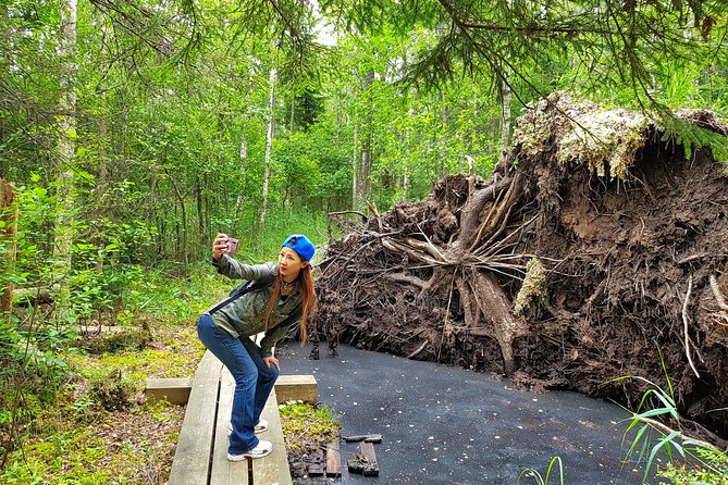 From Riga: Best of Kemeri National Park In One Day - Considerations