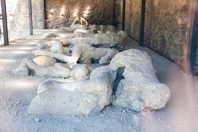 From Rome: Day Trip to Pompeii and Sorrento with lunch - Final Thoughts