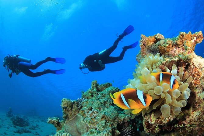 From Side, Alanya: Scuba Diving With 2 Time Dive & Lunch - Concluding Thoughts: Is This the Right Choice?
