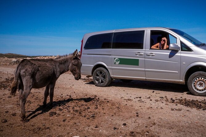 From Stintino: minivan tour of Asinara - What’s Included and What’s Not