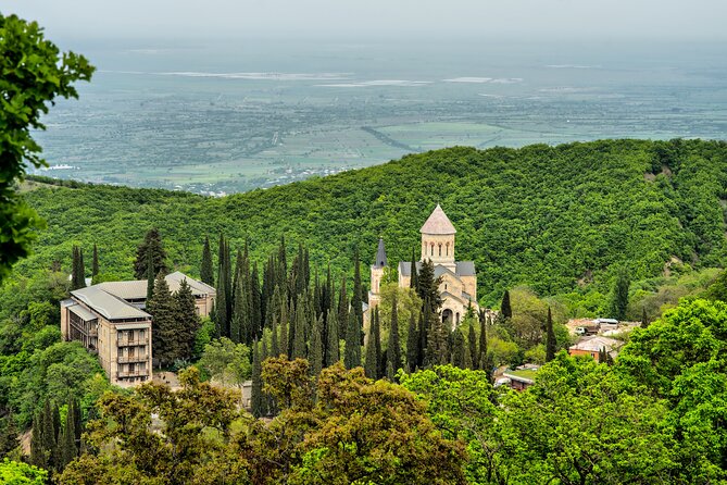 From Tbilisi: Explore the City of Love Kakheti Tour - Authentic Experiences and What Travelers Say