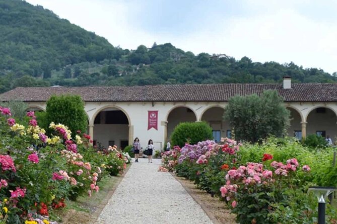From Verona: Prosecco & Classic method sparkling wine tour, with light lunch - Pricing and Overall Value