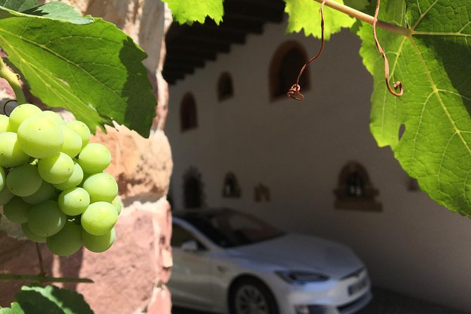 FULL DAY ALSACE PRIVATE TOUR : Tailored by your Friendly Driver - The Experience’s Downsides and Considerations