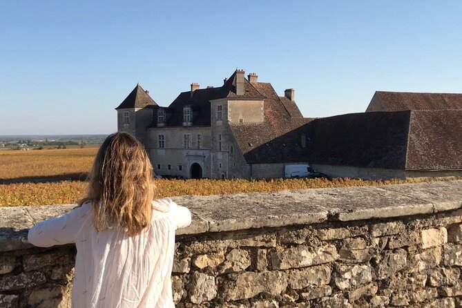 Full day from Dijon: the most of Burgundy with lunch - The Value of the Experience