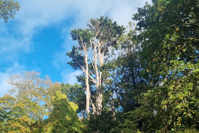 Full Day Guided Small Group Tour of Central Dorset - Who Should Consider This Tour?