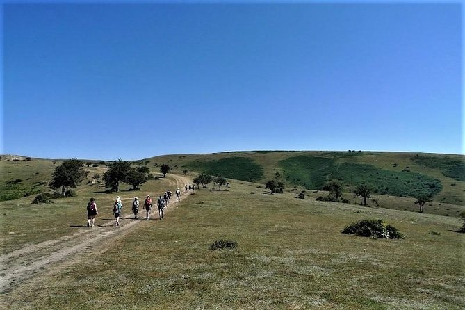 Full-Day Hiking at Cappadocia - Practical Details and Value
