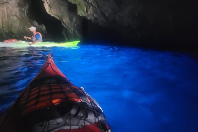 Full Day Kayak Adventure to Palinuro and Blue Grotto - Pricing and Value