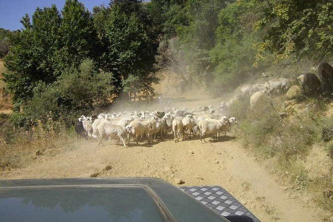 Full-Day Land Rover Safari from Heraklion with Lunch - The Birthplace of Zeus: Dikteon Cave