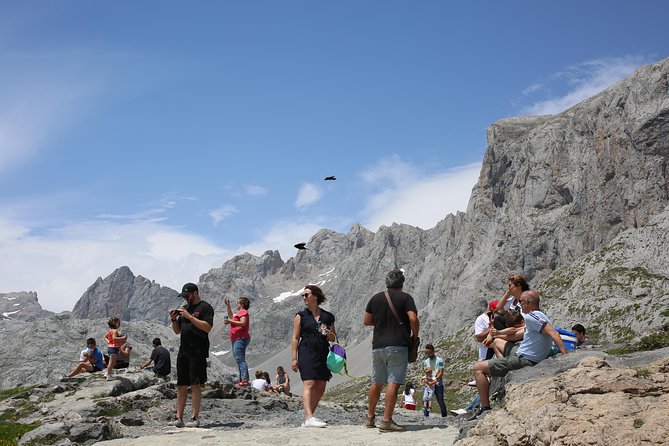Full Day Private 4WD Tour from Bilbao to Picos de Europa. Fine meals. - Final Thoughts