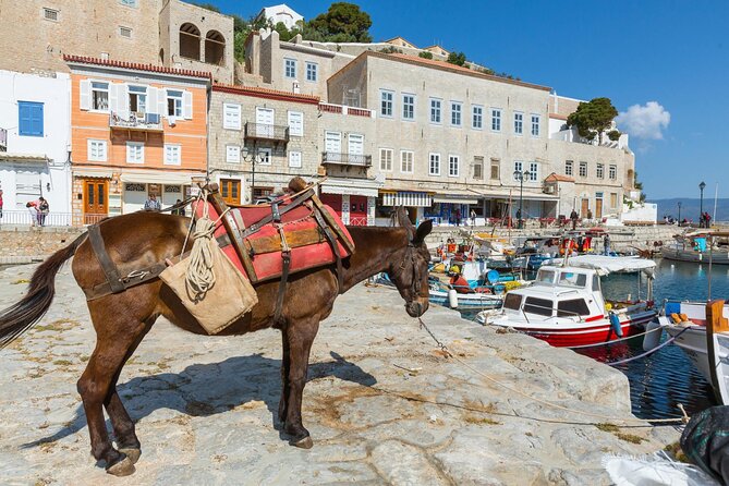 "Full-Day Private Excursion to Hydra Island from Athens" - Who Is This Tour Best For?