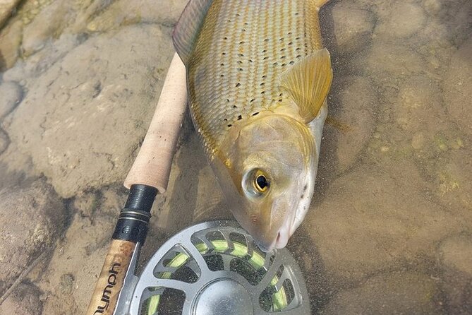 Full Day Private Guided Fishing Charter along the Isonzo Front - A Day on the Isonzo: What’s Included and How It Unfolds