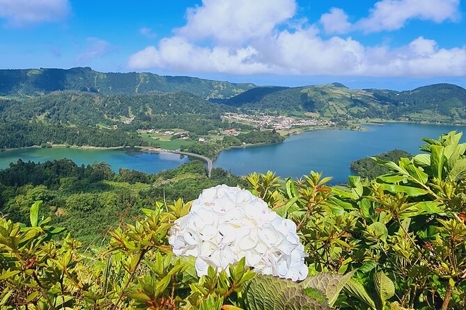 Full Day Private Tour West & East in São Miguel Island - Who Should Consider This Tour?