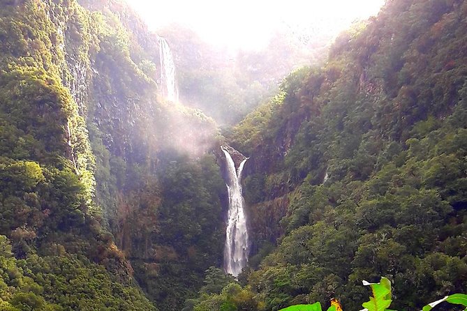 Full-Day Rabaçal Levada Walk from Funchal - Price, Value, and What You Get