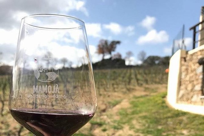 Full Day-Small group: Barbagia Experience: Mamoiada and Orgosolo from Cagliari - Frequently Asked Questions