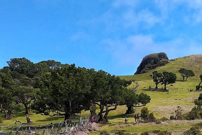 Full-Day Small Group Jeep Safari Tour from Funchal - The Authenticity and Value