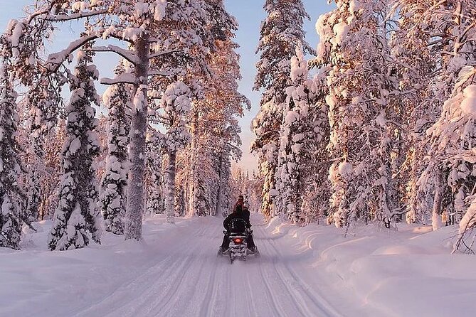 Full Day Snowmobile Safari - Authentic Experiences and Real Feedback