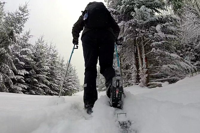 Full-Day Snowshoeing in High Tatras with Local Mountain Guide from Poprad - Authentic Snowshoeing with Expert Guides