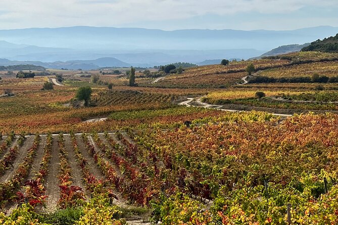 Full Day Tasting The Unknown Rioja Wine Region - Practical Tips