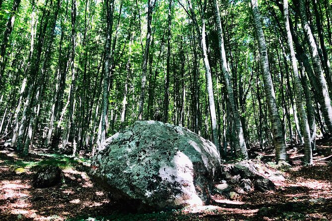 Full Day Tirana City & Dajti National Park, Private Tour - Practical Details and Tips