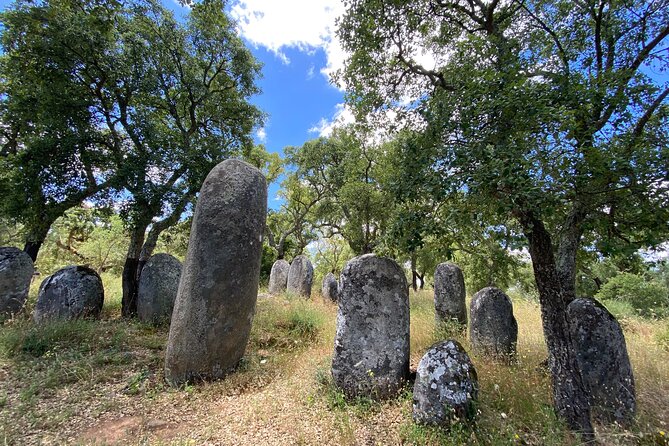 Full Day Tour in Évora from Lisbon - Tasting Portugal: A Lunch of Local Flavors + Regional Wine
