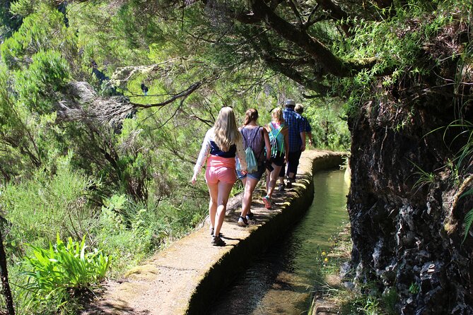 Full Day Tour in Porto Moniz with the Locals - Price and Value