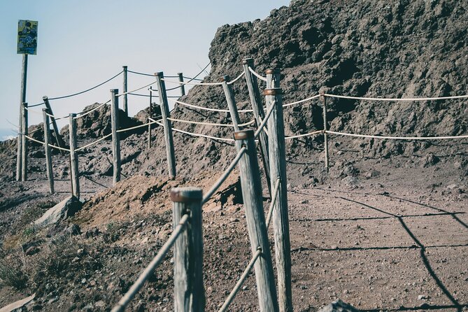 Full Day Tour to Pompeii, Vesuvius and Wine Tasting - The Vinuous Charm of Bosco de Medici Winery