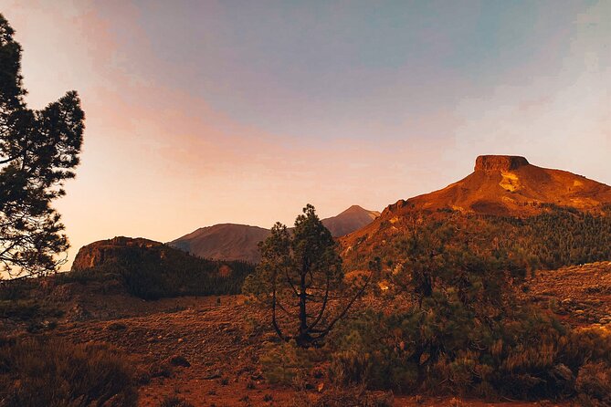 Full Day Tour with Certified Guide in Tenerife - The Sum Up