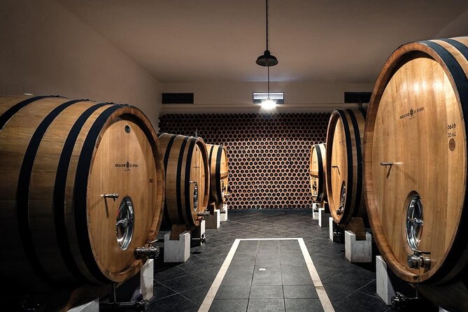 Full-day Trip in Evora, Winery & Cork Factory Private Transport - Highlights of the Tour