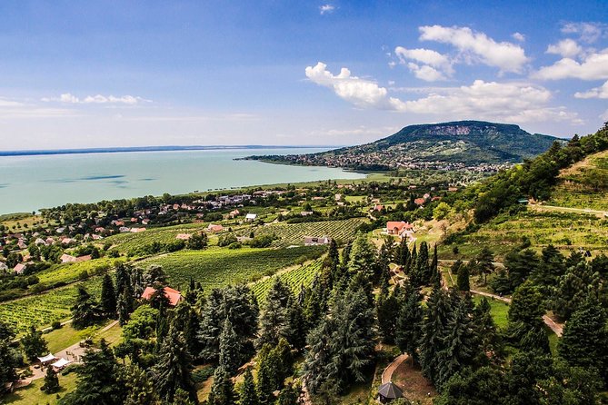 Full-Day Wine Tasting at Lake Balaton Private Tour from Budapest - Who Is This Tour Best For?