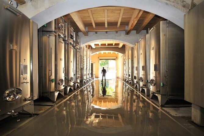 Full-Day Wine Tour around Luberon from Marseille - Travel Experience: What Travelers Say