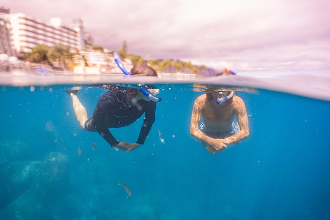 Funchal: Snorkeling Adventure in Eco-Park / Shore or by Boat - Who Will Love This Tour?