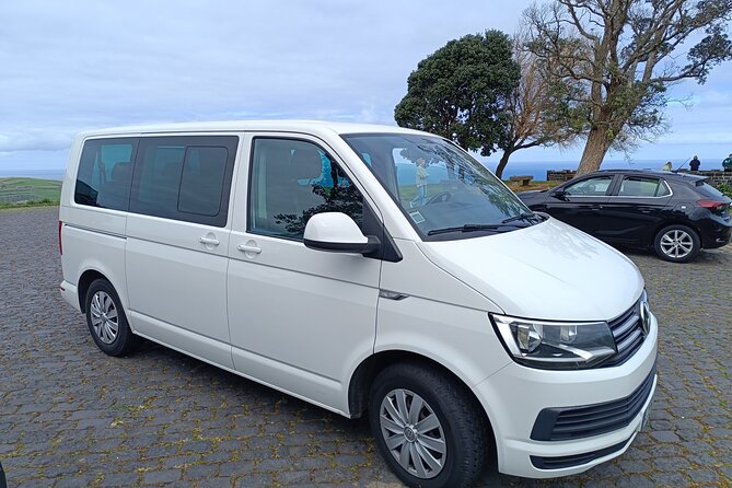Furnas Vale, Gorreana Tea Factory Private Van Tour - Who Would Love This Tour