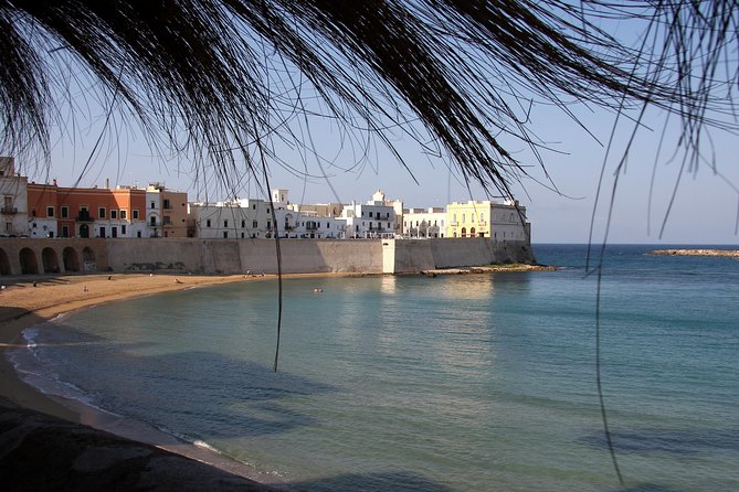 Gallipoli walking tour - What to Expect from the Itinerary
