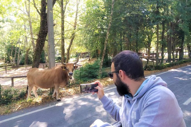 Gerês Private Tour (All Inclusive) - Visiting the São Bento da Porta Aberta Sanctuary