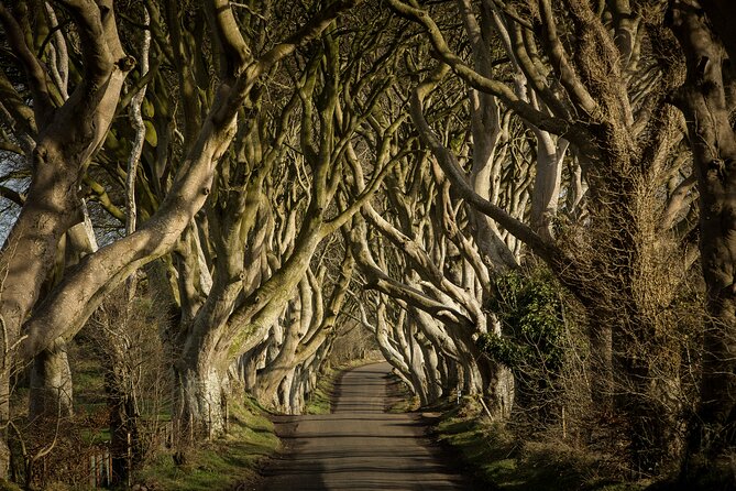 Giants Causeway and Belfast Private Day Tour - Who’s This Tour Best For?