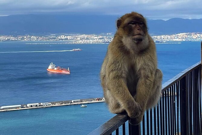 Gibraltar Private Daytrip From Sevilla - Who Would Enjoy This Tour?