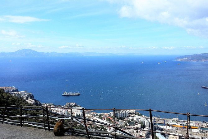 Gibraltar private trip from Marbella or Malaga - Who Would Love This Tour?